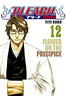 Bleach vol. 17 - eBook, Resumo, Ler Online e PDF - por Tite Kubo