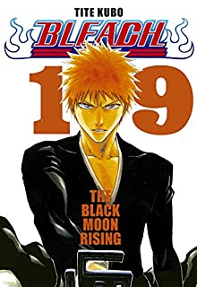 Bleach vol. 17 - eBook, Resumo, Ler Online e PDF - por Tite Kubo