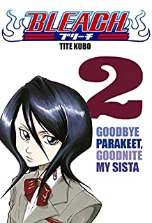 Bleach vol. 17 - eBook, Resumo, Ler Online e PDF - por Tite Kubo