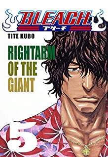 Bleach vol. 17 - eBook, Resumo, Ler Online e PDF - por Tite Kubo