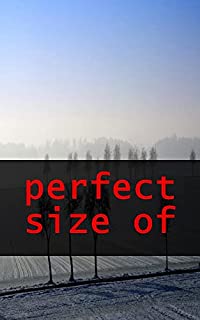perfect size of - eBook, Resumo, Ler Online e PDF - por Pinto, Veronica
